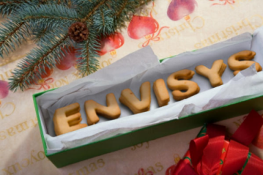 ENVISYS: Software für Energieberatung und Planung